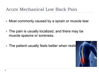 Mechanical low back pain | PPTX