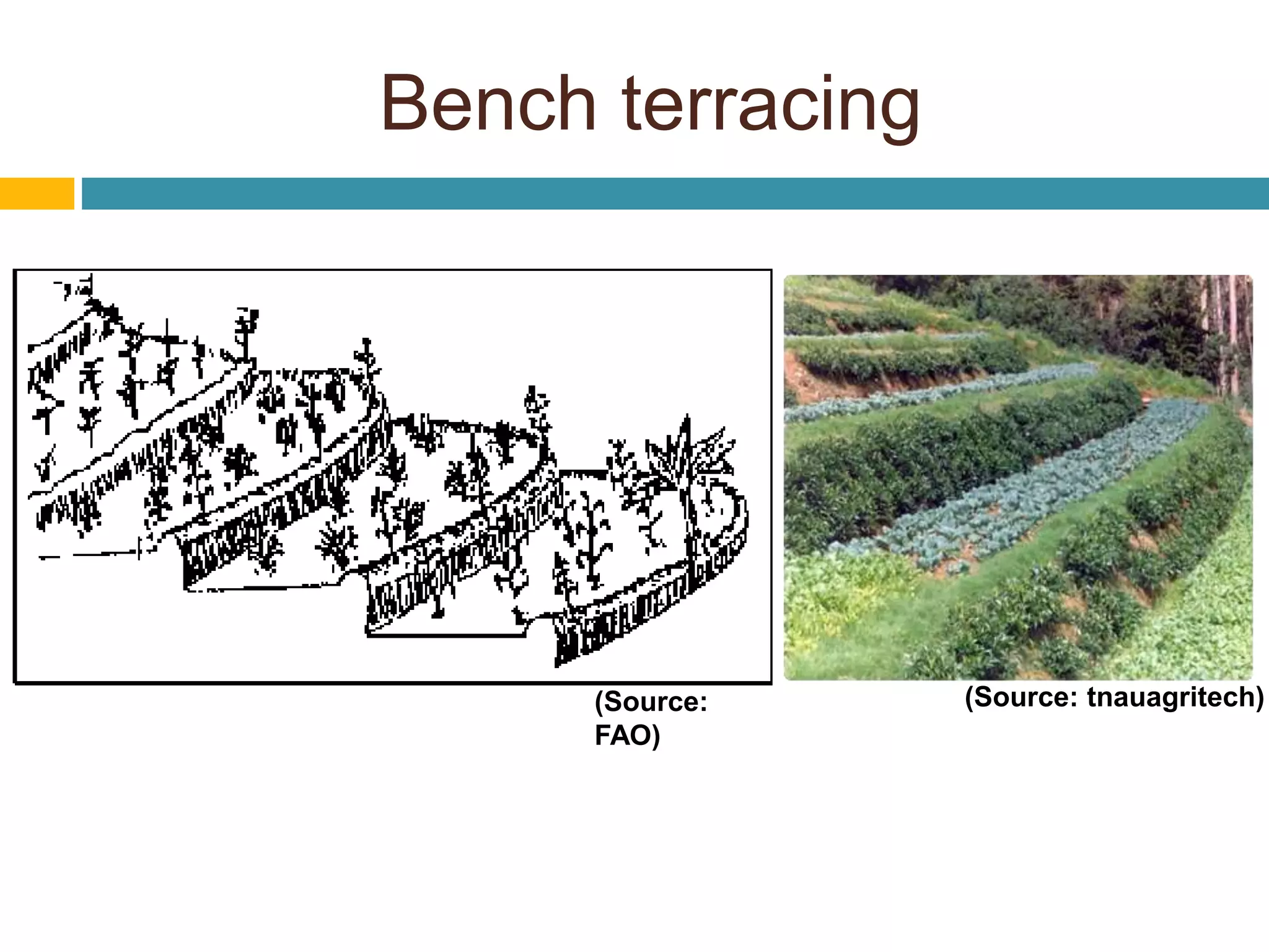 MECHANICAL MEASURES OF SOIL CONSERVATION.pptx | Landscaping | Home & Garden