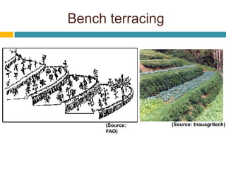 MECHANICAL MEASURES OF SOIL CONSERVATION.pptx