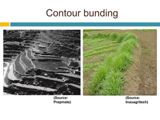 Contour Bunding Soil Conservation