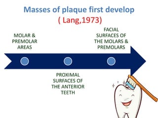 Mechanical plaque control | PPTX