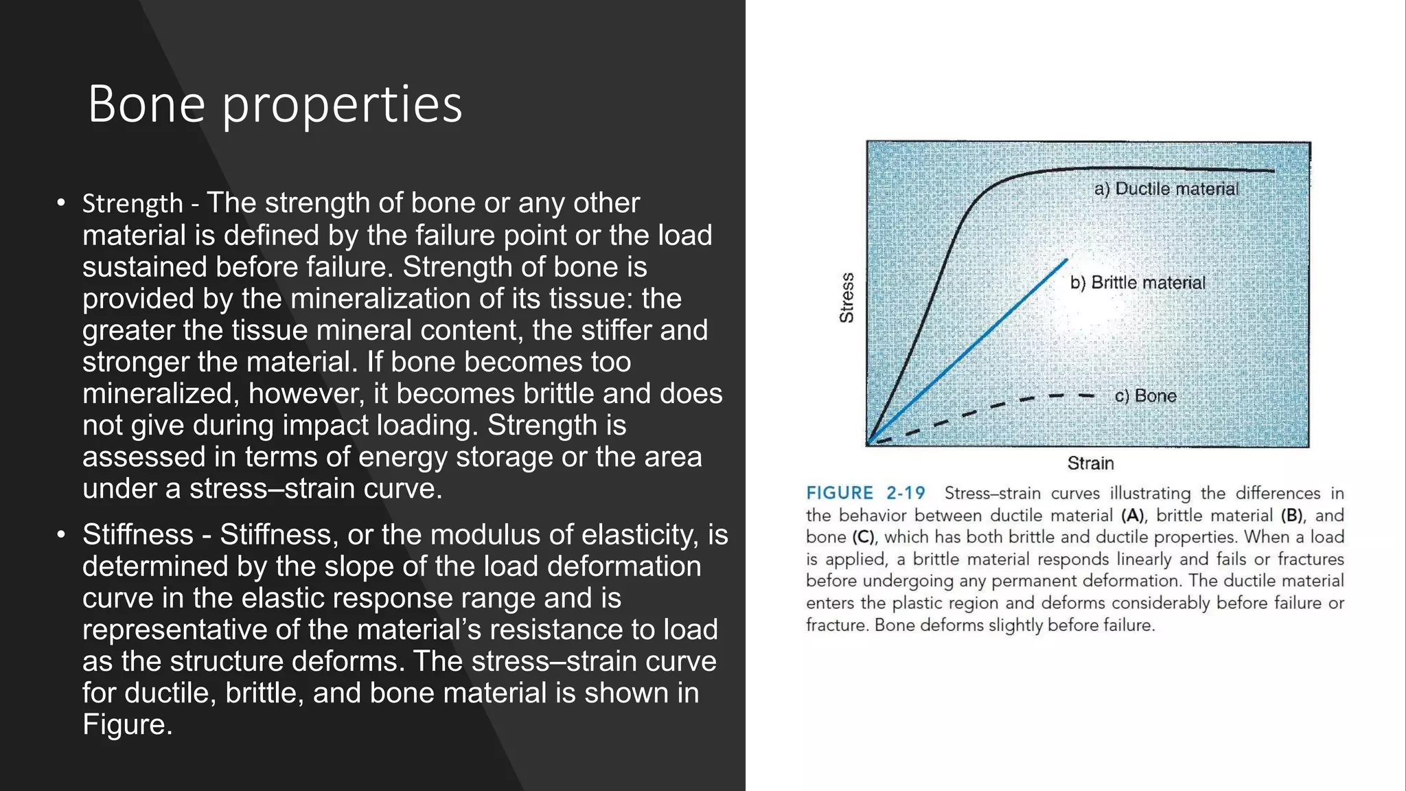 Mechanical Properties Of Bone | PPTX
