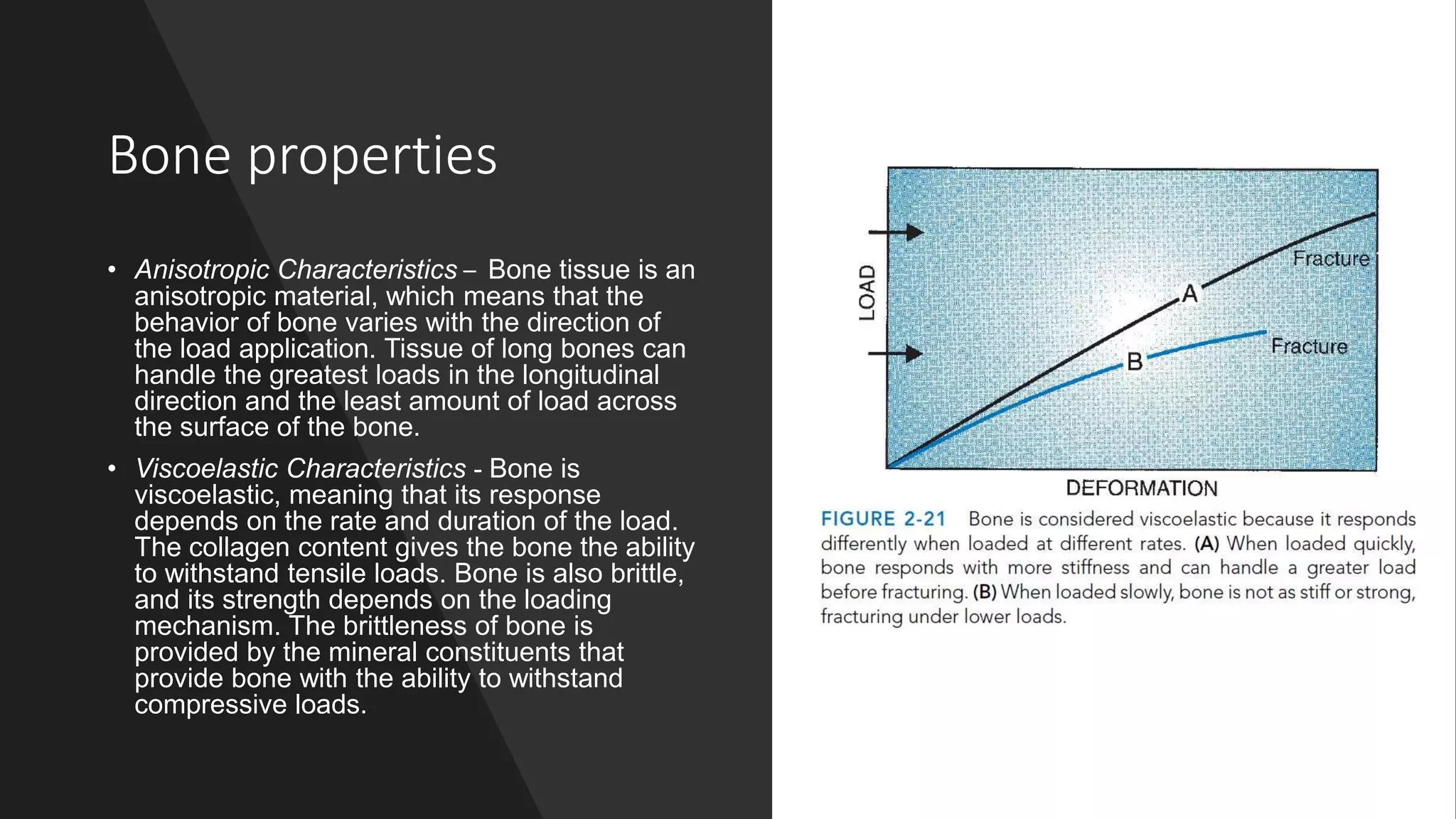 Mechanical Properties Of Bone | PPTX
