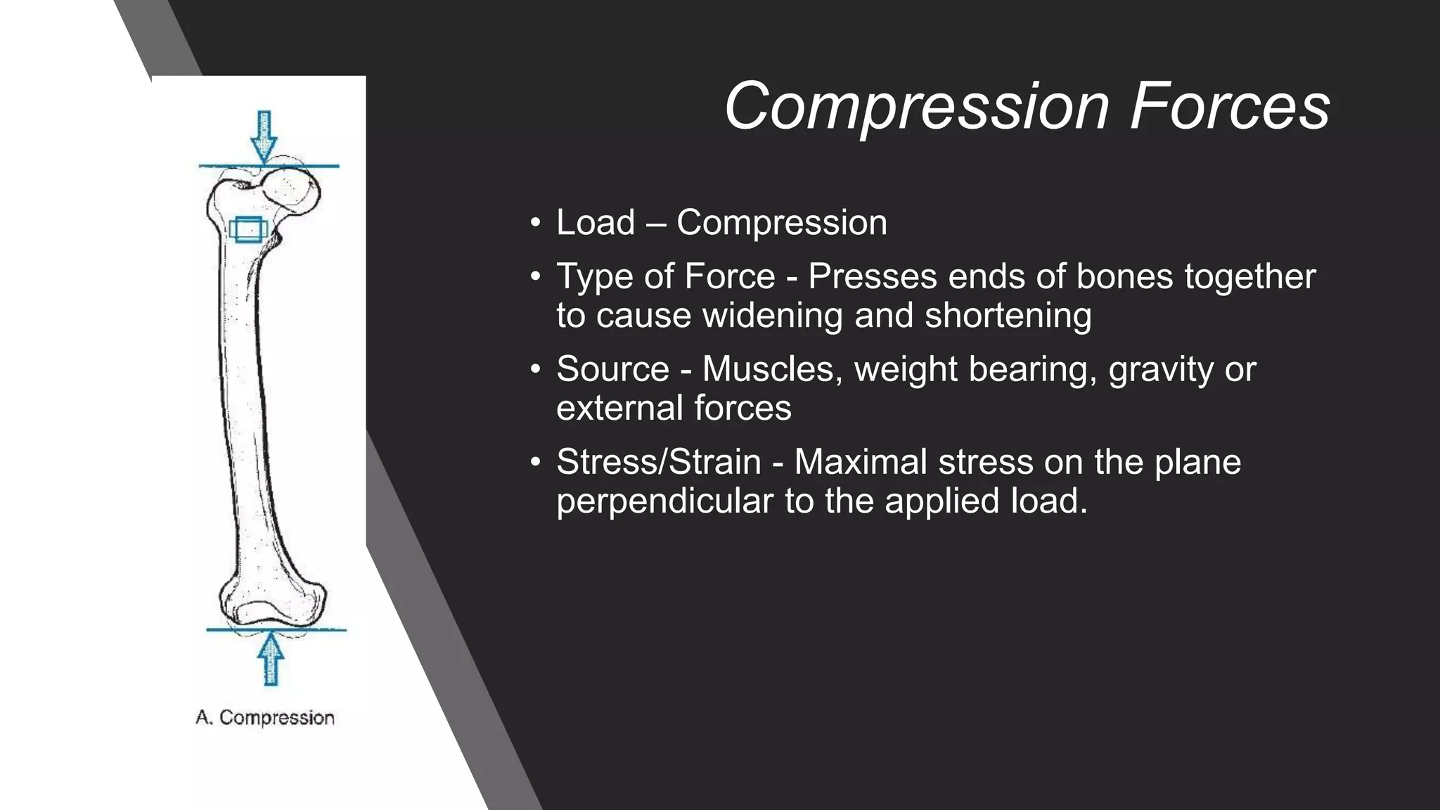 Mechanical Properties Of Bone | PPTX