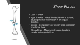 Mechanical Properties Of Bone | PPTX