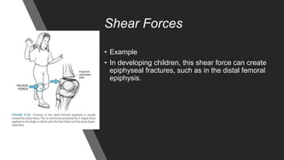 Mechanical Properties Of Bone | PPTX
