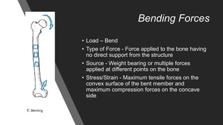 Mechanical Properties Of Bone | PPTX