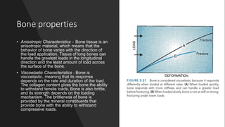 Mechanical Properties Of Bone | PPTX