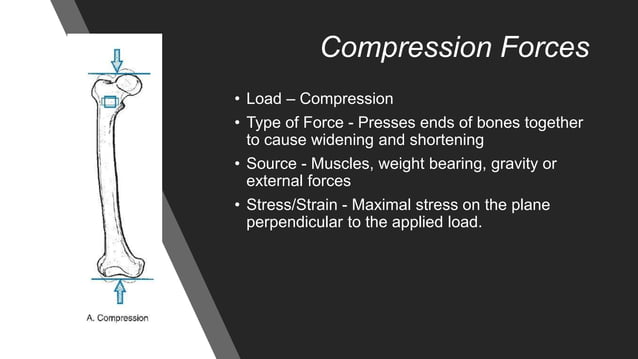 Mechanical Properties Of Bone | PPTX
