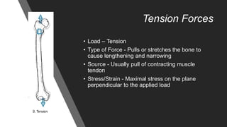 Mechanical Properties Of Bone | PPTX