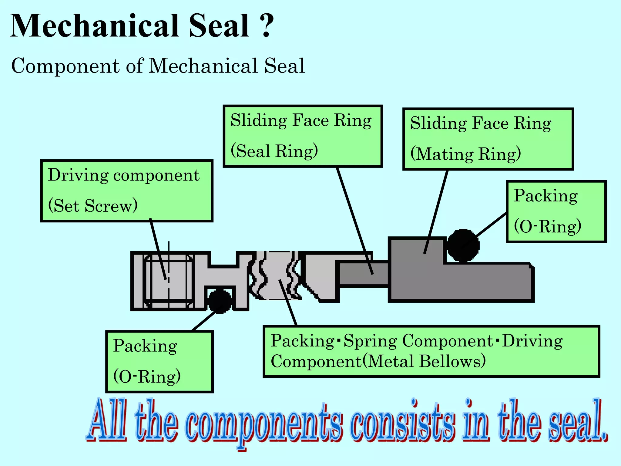 Mechanical Seal.ppt