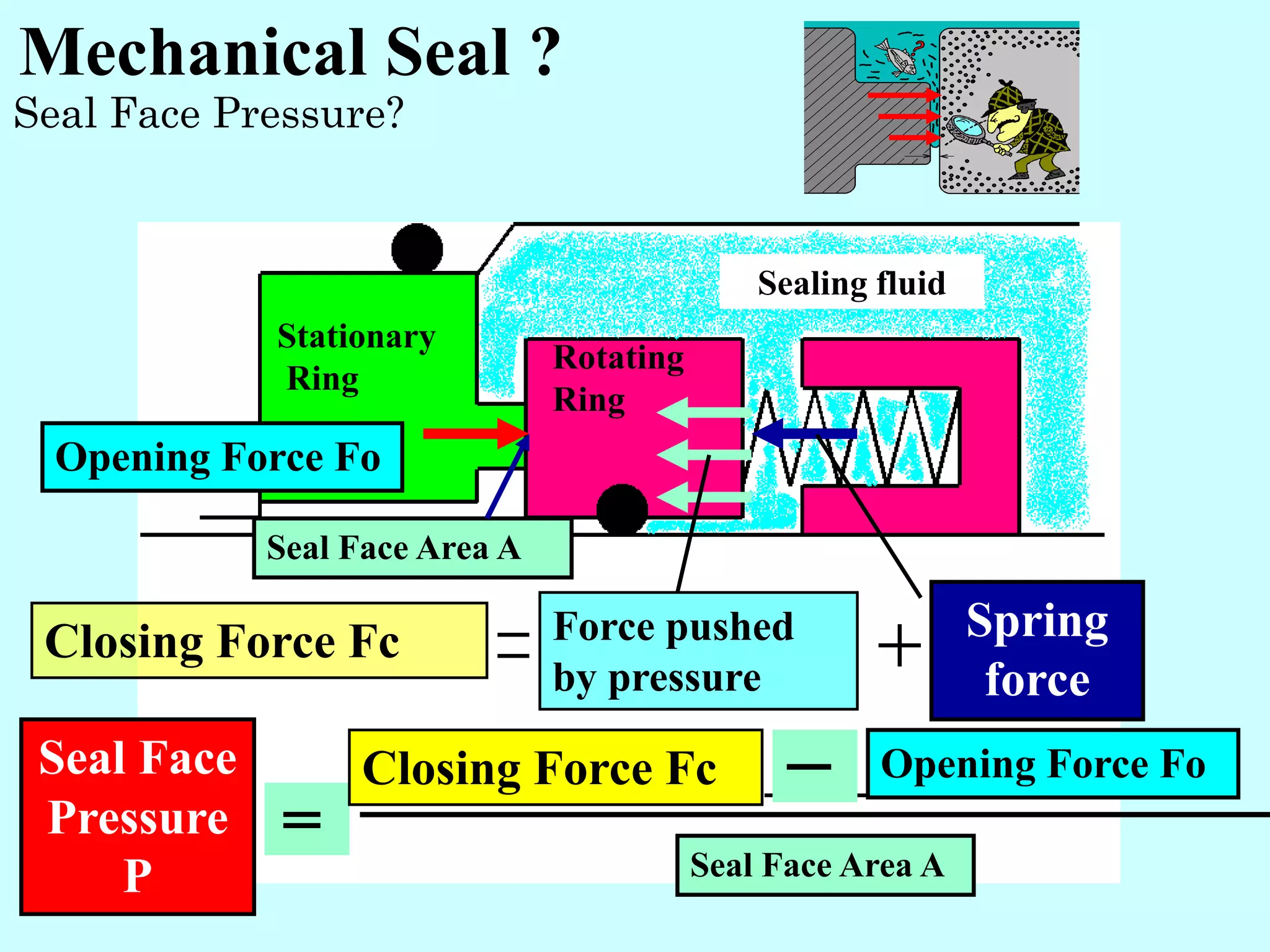 Mechanical Seal.ppt | Physics | Science