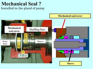 Mechanical Seal.ppt