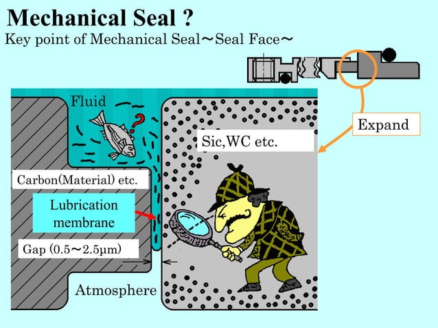 Mechanical Seal.ppt | Physics | Science