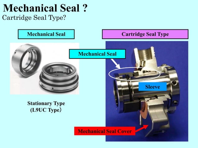 Mechanical Seal.ppt | Physics | Science