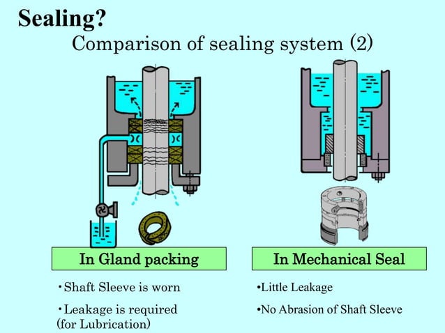 Mechanical Seal.ppt | Physics | Science