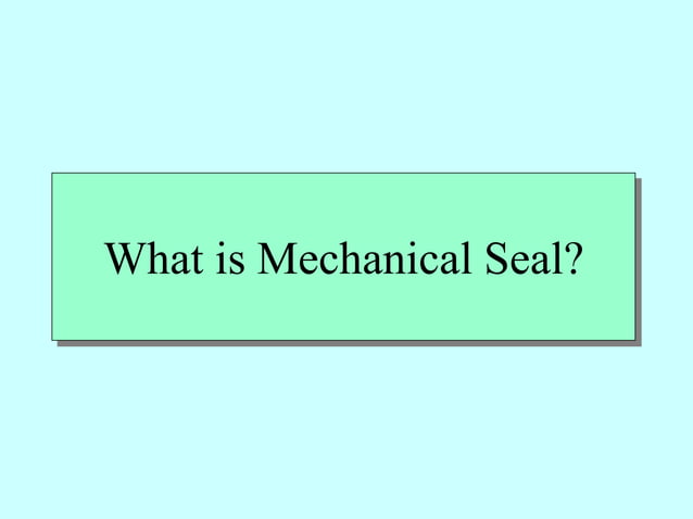 Mechanical Seal.ppt | Physics | Science