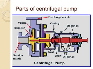 Mechanical Seal Vs Gland Packing | PPTX