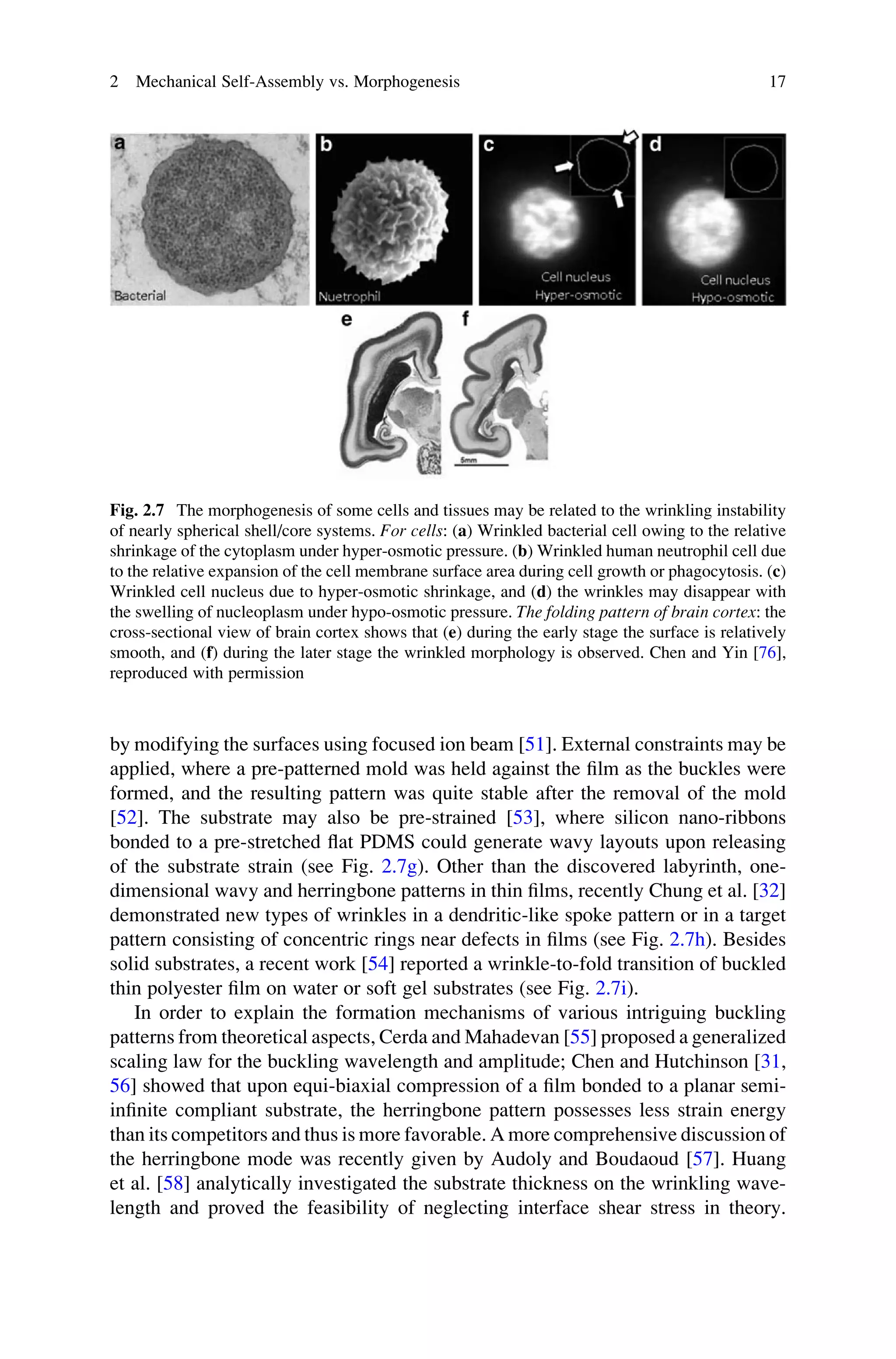 Mechanical self assembly | PDF