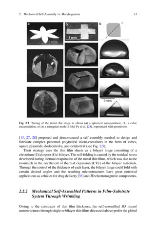 Mechanical self assembly | PDF