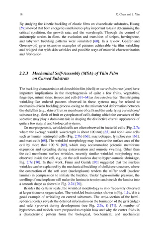 Mechanical self assembly | PDF | Physics | Science