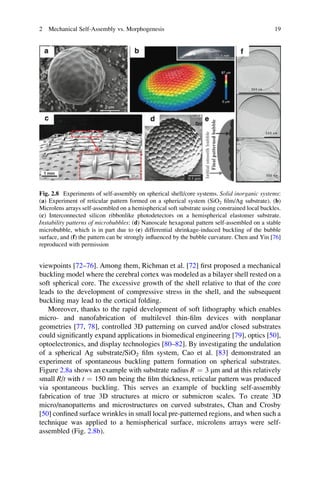 Mechanical self assembly | PDF | Physics | Science