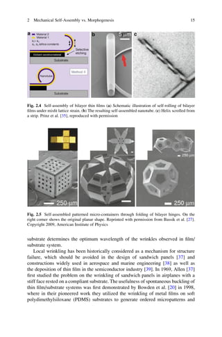 Mechanical self assembly | PDF | Physics | Science