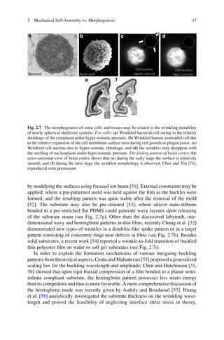 Mechanical self assembly | PDF | Physics | Science