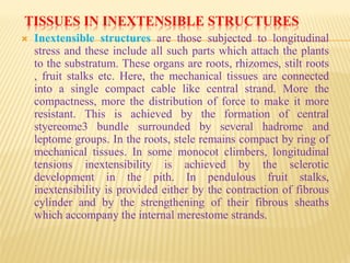 Mechanical tissues | PDF