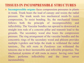 Mechanical tissues | PDF