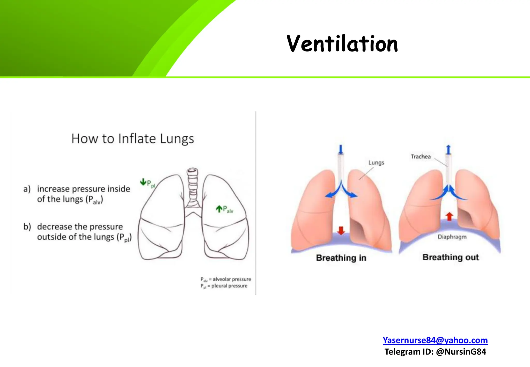 mechanical ventilation (Basic) -2.pdf