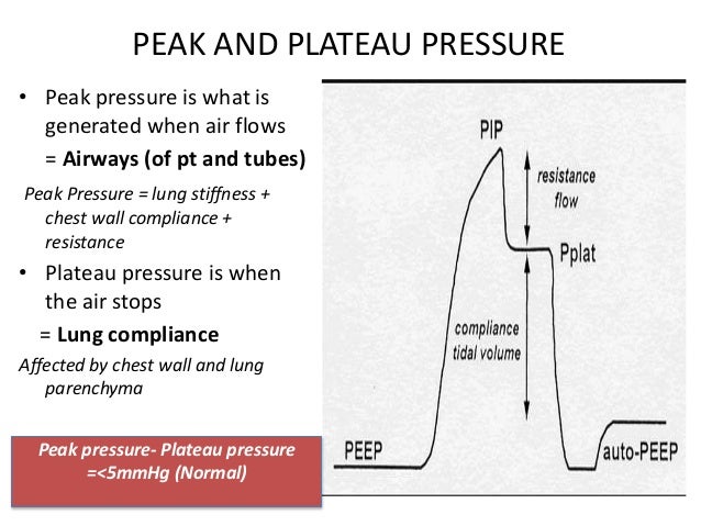 Mechanical ventilation basics