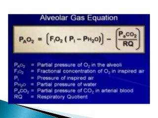 Mechanical ventilation gas exchange | PPT