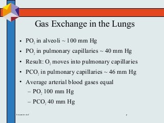 Mechanical ventilation gas exchange 2 | PPT