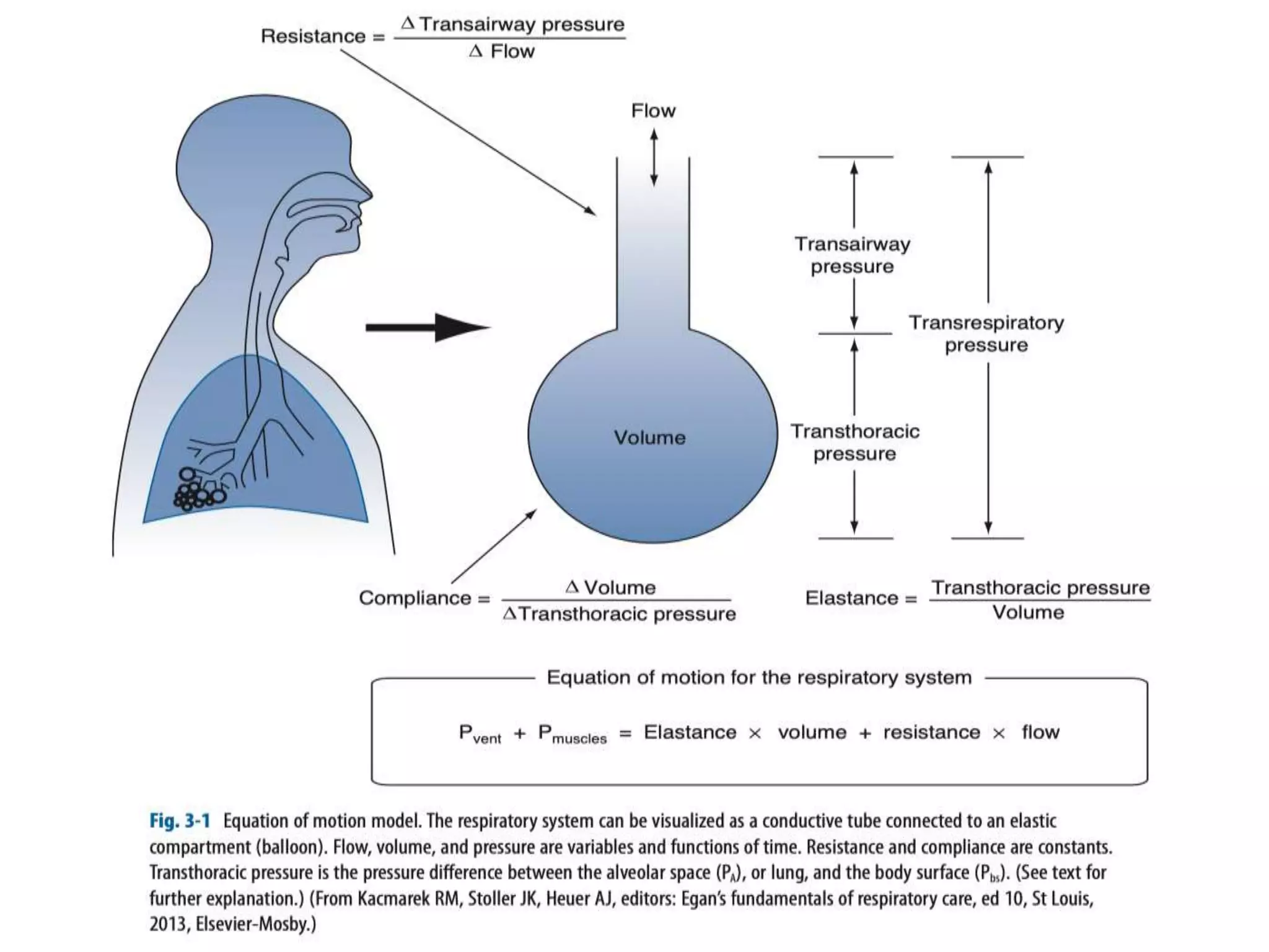 Mechanical ventilation Basics and waveforms | PPTX