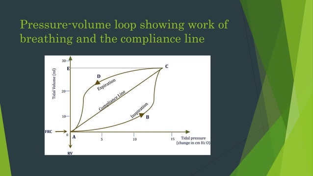 Mechanical ventilation in neonates | PPTX | Lung and Respiratory Health ...