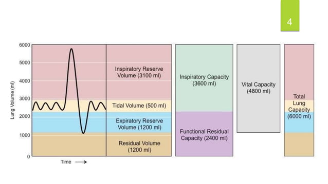 Mechanical ventilator basic setting and modes | PPT