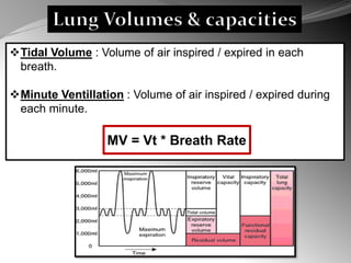 Basics of Neonatal Mechanical ventillation | PPSX