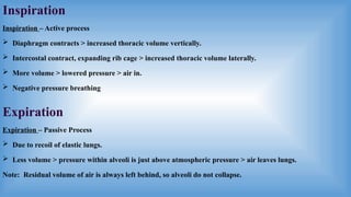 mechanics and the pathway of the Enzymes | PPTX | Lung and Respiratory ...