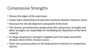MECHANICS OF BONE,Structure of long Bone and Viscoelasticity.ppt