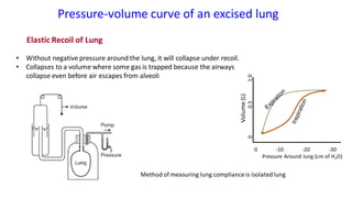 Mechanics of breathing for mbbs students1 .pdf