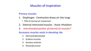 Mechanics of breathing for mbbs students1 .pdf