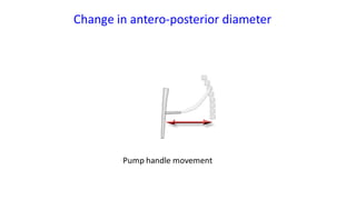 Mechanics of breathing for mbbs students1 .pdf