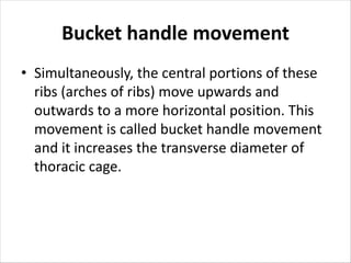 Mechanics of breathing BY MIN^ED ACADEMY | PDF | Death, Injury, or ...