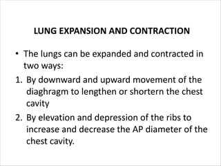 Mechanics of breathing BY MIN^ED ACADEMY | PDF | Death, Injury, or ...