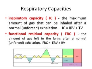 mechanics_of_breathing_1.pdf