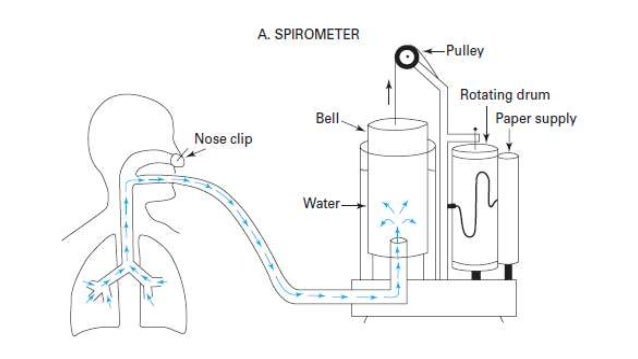 Mechanics of breathing 1 for mbbs