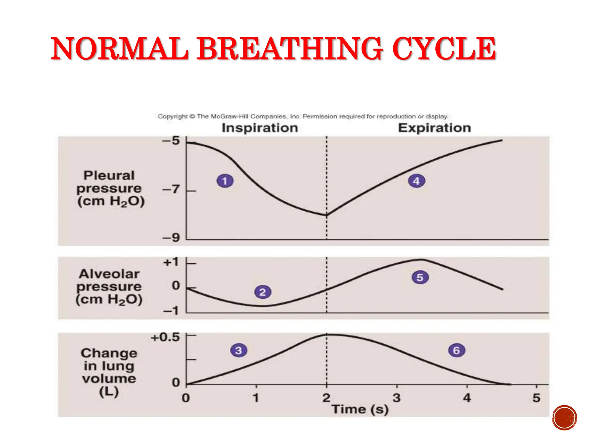 Mechanics of Breathing imp copy.pptx