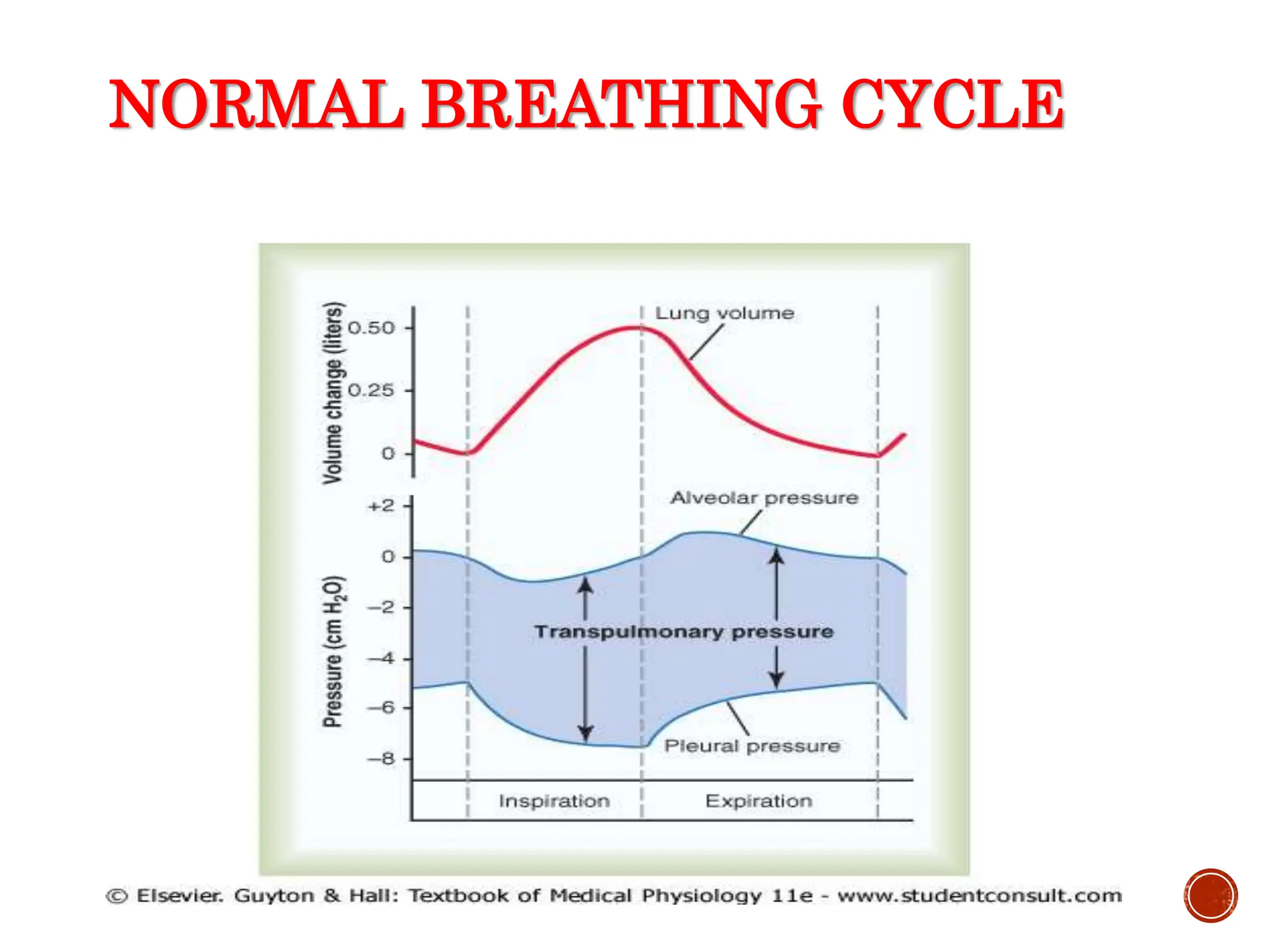 Mechanics of Breathing imp copy.pptx