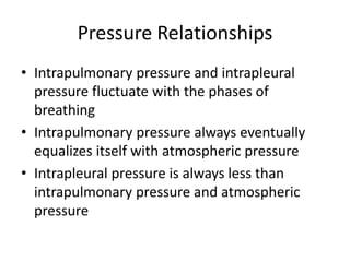 Mechanics_of_Breathing_(Pulmonary Ventilation)_Physiology_16-11-2018.pdf